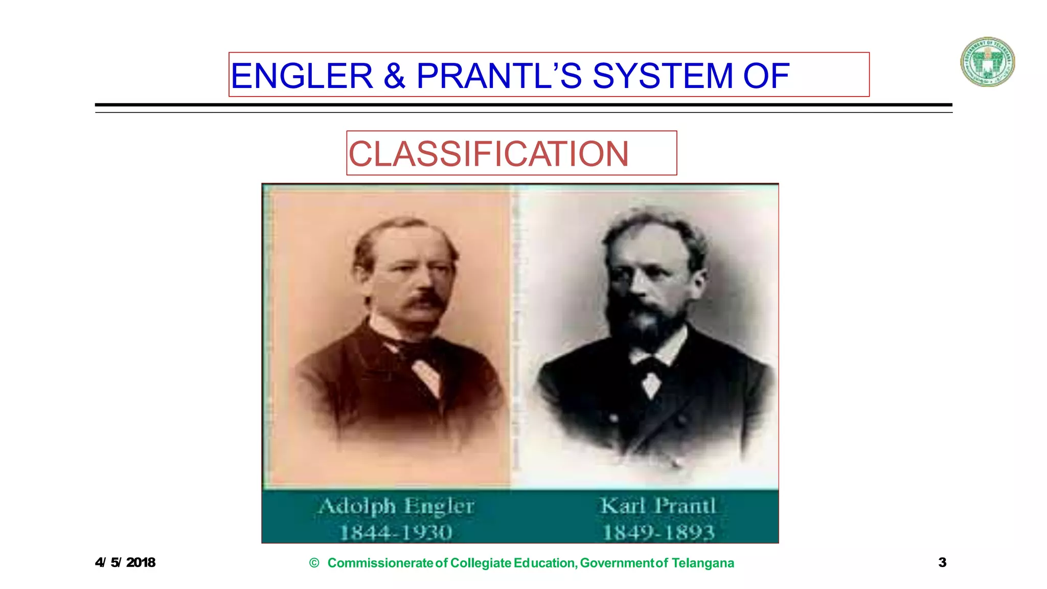 E & P Classification .pptx | Gardening | Home & Garden