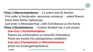 E & P Classification .pptx