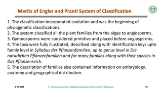 E & P Classification .pptx | Gardening | Home & Garden