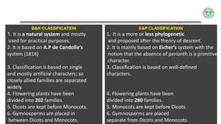 E & P Classification .pptx | Gardening | Home & Garden