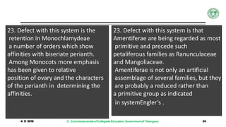 E & P Classification .pptx | Gardening | Home & Garden
