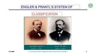 E & P Classification .pptx | Gardening | Home & Garden