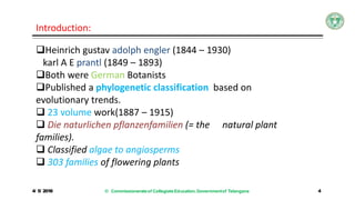 E & P Classification .pptx | Gardening | Home & Garden