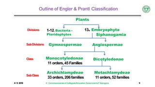 E & P Classification .pptx | Gardening | Home & Garden