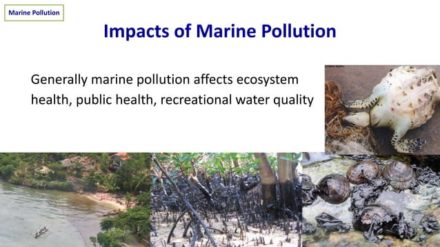Environment pollution & control | PPT