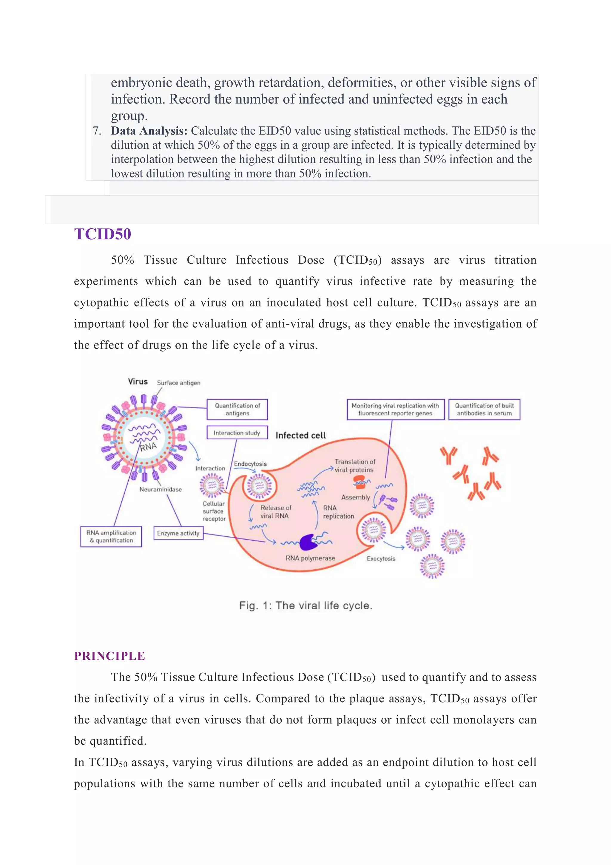End point dilution .docx
