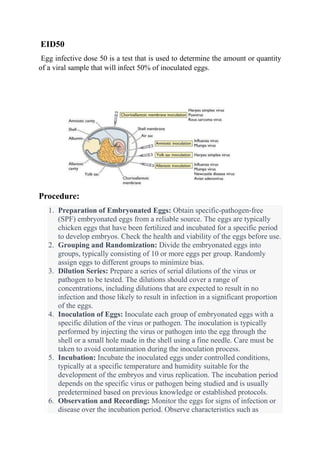 End point dilution .docx