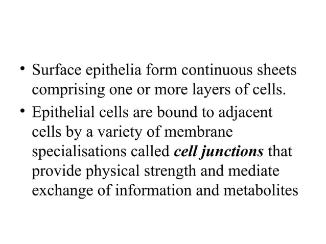 epethelial tissue and its introduction (1).pptx