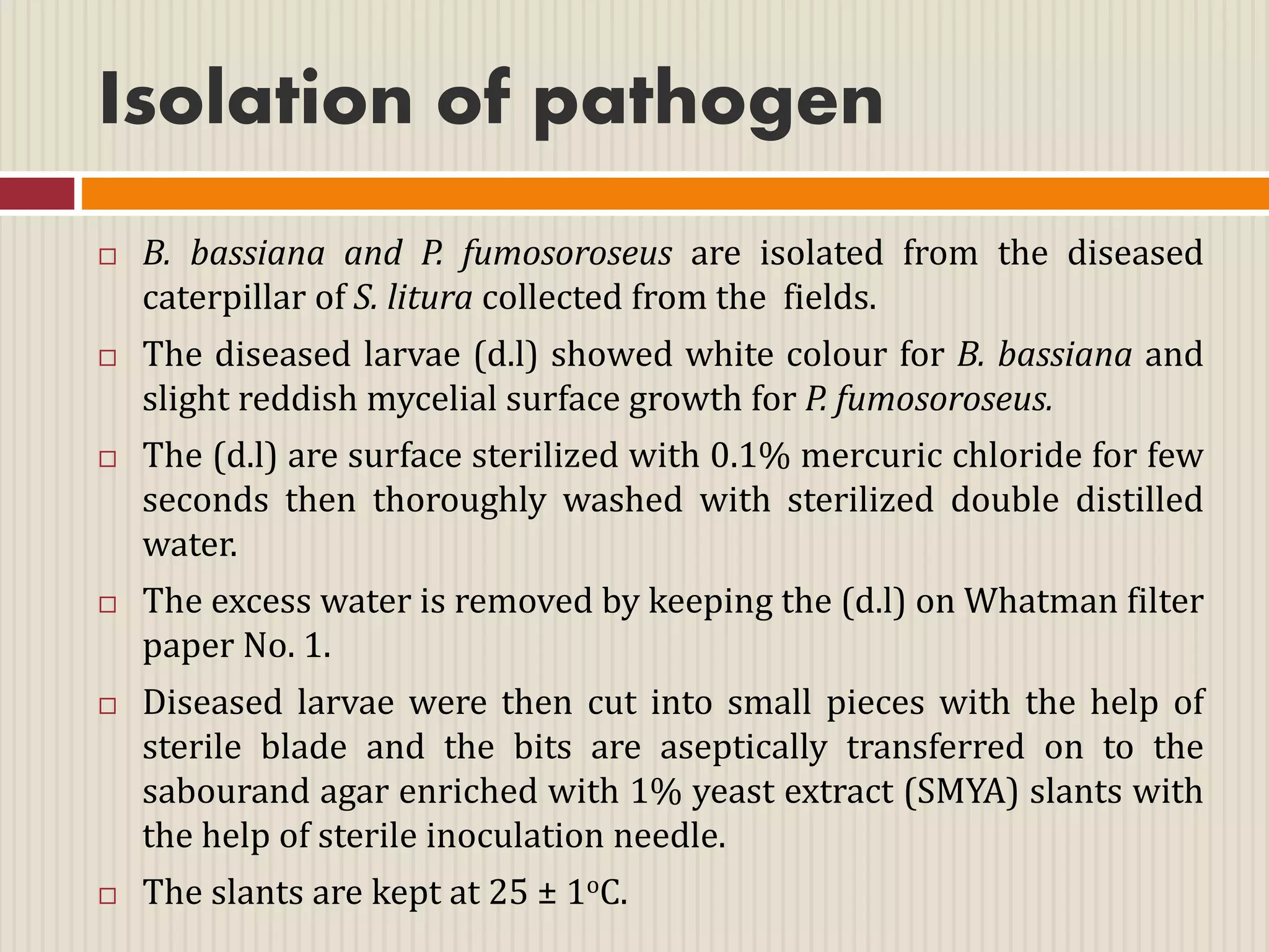 Entomo-pathogenic Fungi | PPT