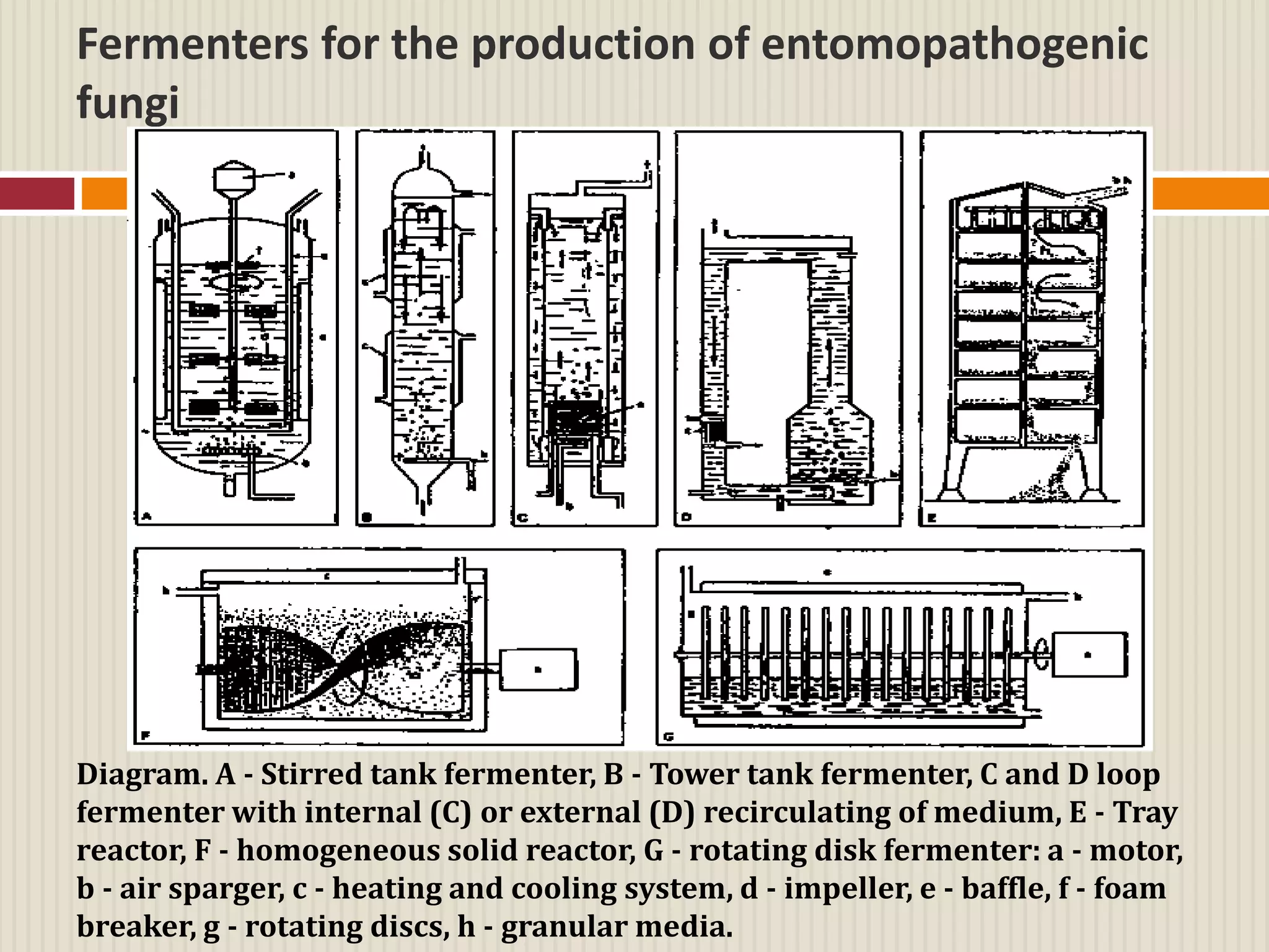 Entomo-pathogenic Fungi | PPT