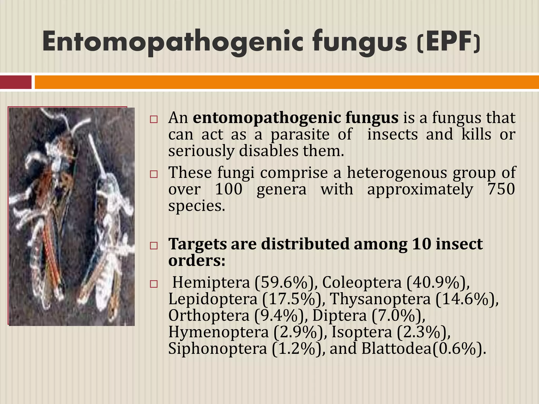 Entomo-pathogenic Fungi | PPT