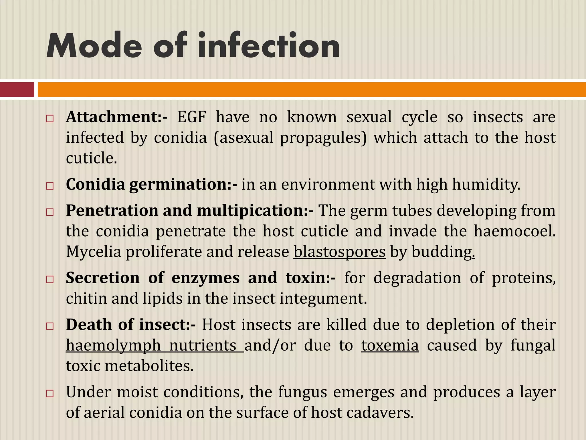 Entomo-pathogenic Fungi | PPT