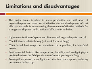 Entomo-pathogenic Fungi | PPT