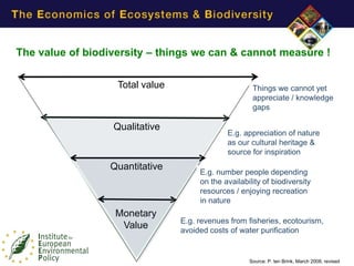 Economics of biodiversity_MKettunen | PDF
