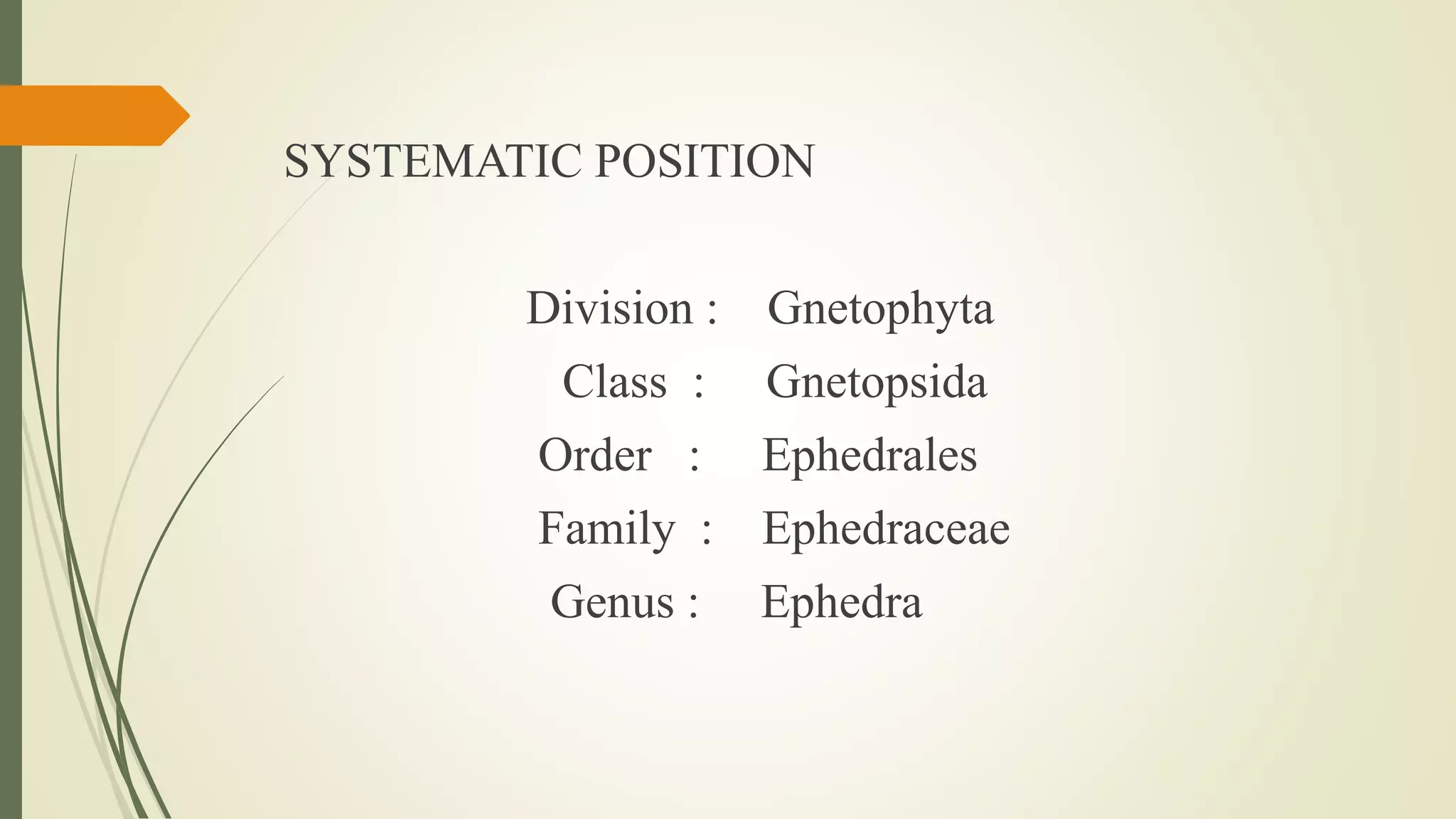 EPHEDRA | PPTX