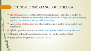 EPHEDRA | PPTX
