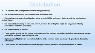 Ephedra | PPTX