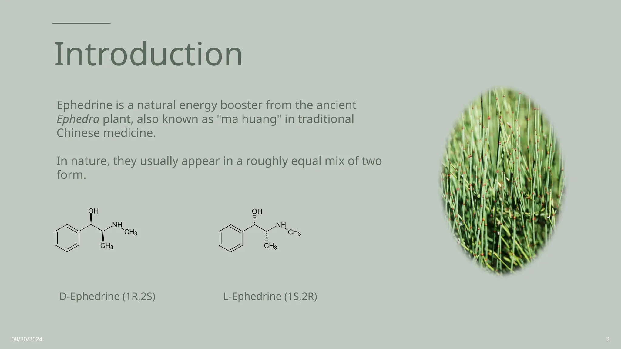 Ephedrine bio synthesis and its uses as medicine | PPTX