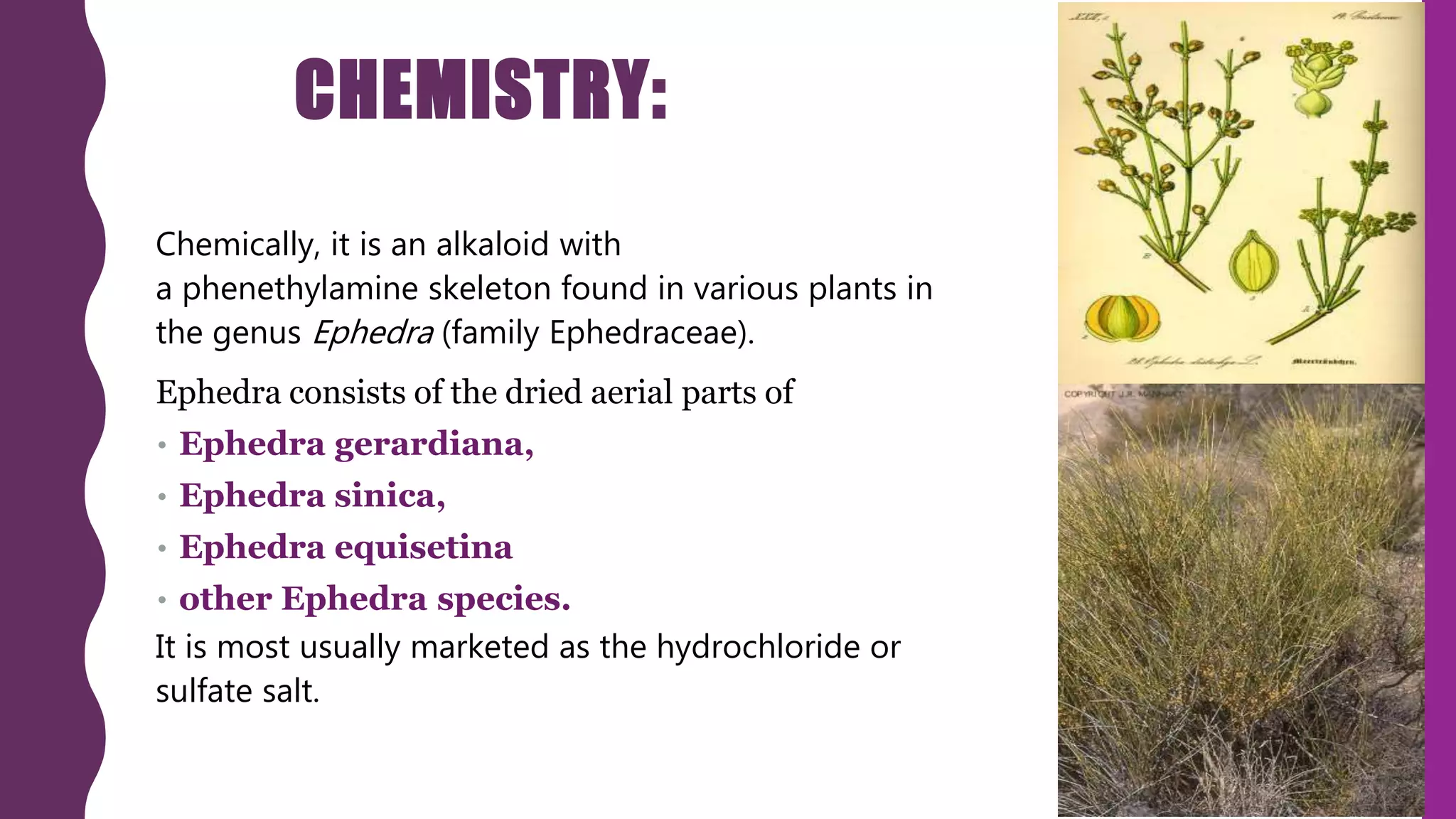 Ephedrine (Alkaloid) | PPTX
