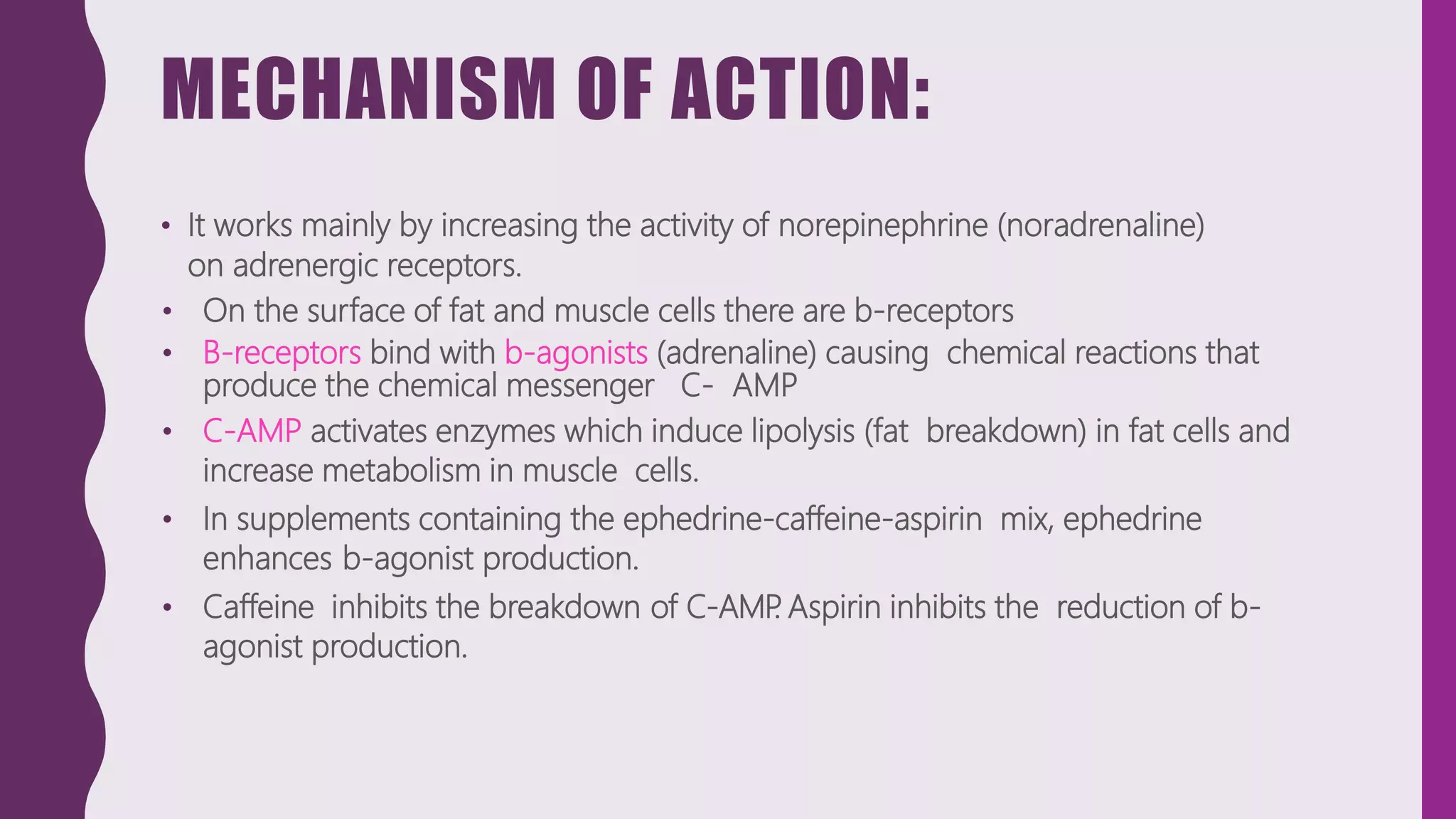 Ephedrine (Alkaloid) | PPTX