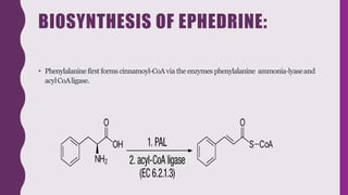 Ephedrine (Alkaloid) | PPTX