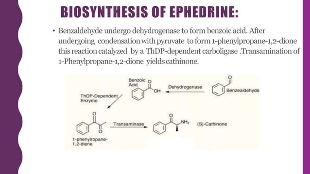 Ephedrine (Alkaloid) | PPTX | Chemistry | Science