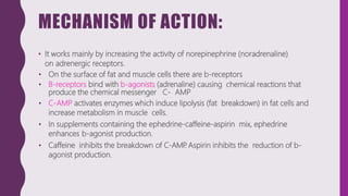 Ephedrine (Alkaloid) | PPTX