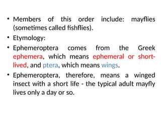 Ephemeroptera new biology and developmental aspects | PPTX