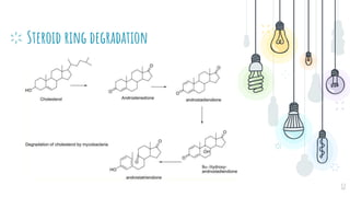 Microbial Transformation of steroids | PPTX