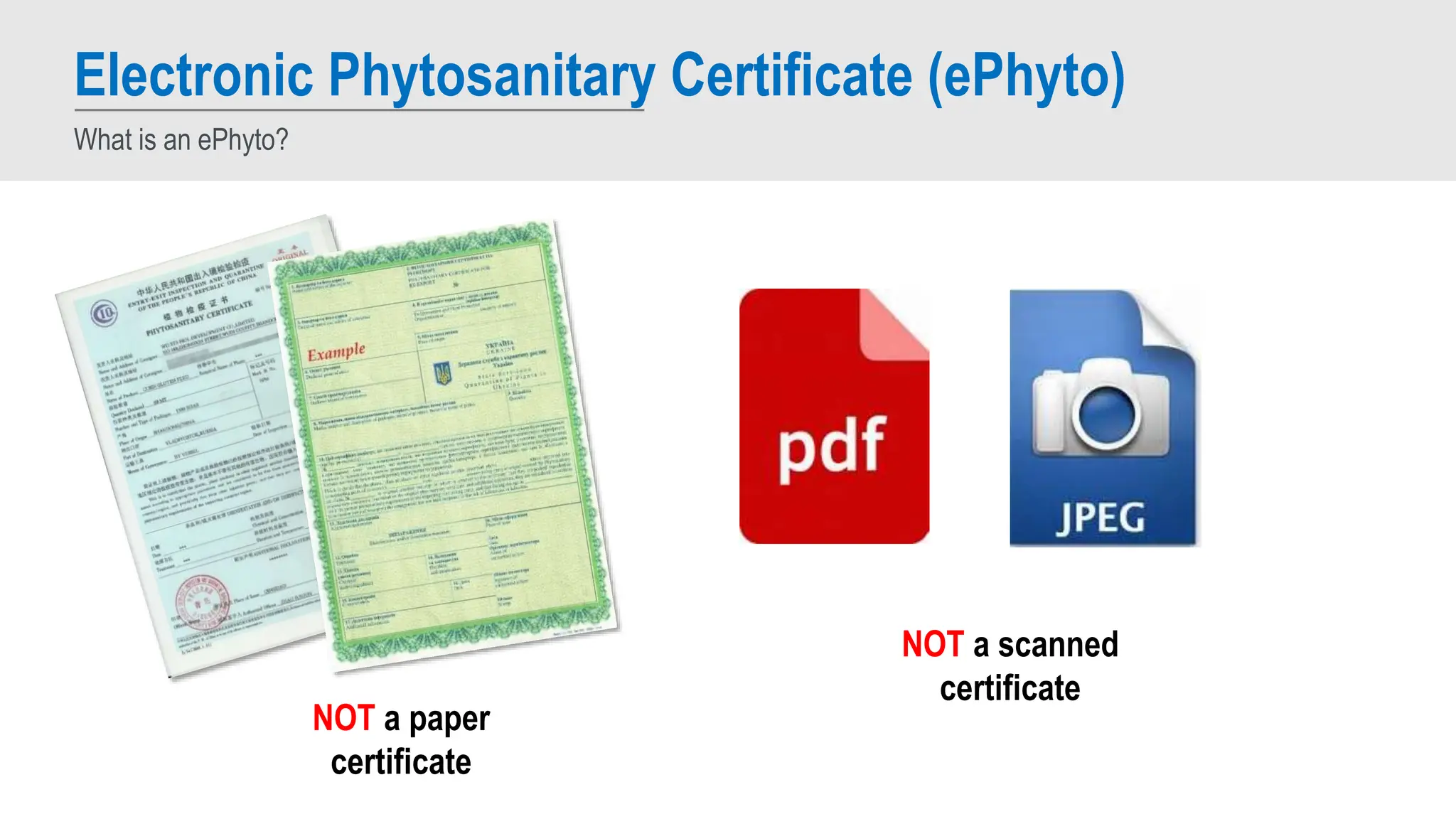 Generic ePhyto National System Piloting in Sri Lanka | PPTX