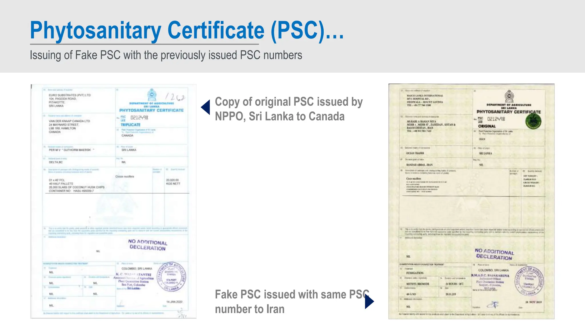 Generic ePhyto National System Piloting in Sri Lanka | PPTX