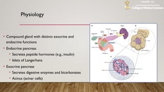 exocrine pancreatic insufficiency in pancreatic disorder.pptx