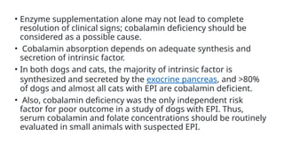Exocrine Pancreatic insufficiency in Dogs and Cats | PPTX