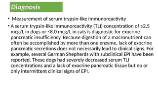Exocrine Pancreatic insufficiency in Dogs and Cats | PPTX