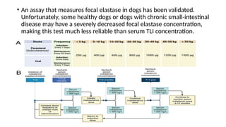Exocrine Pancreatic insufficiency in Dogs and Cats | PPTX