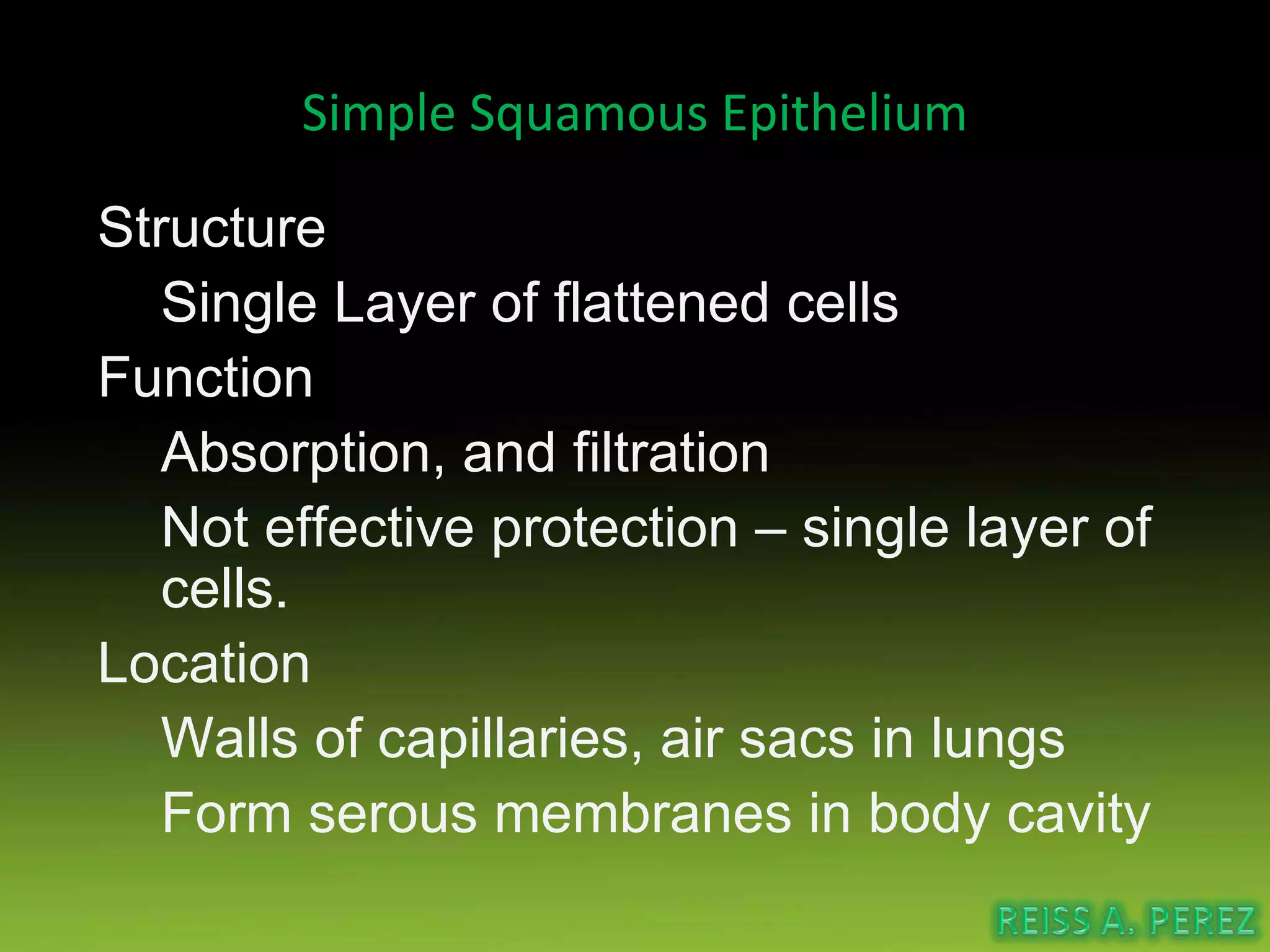 Epithelial Tissue | PPT