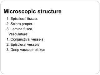 episccleritiss and scleri modiiified.pptx