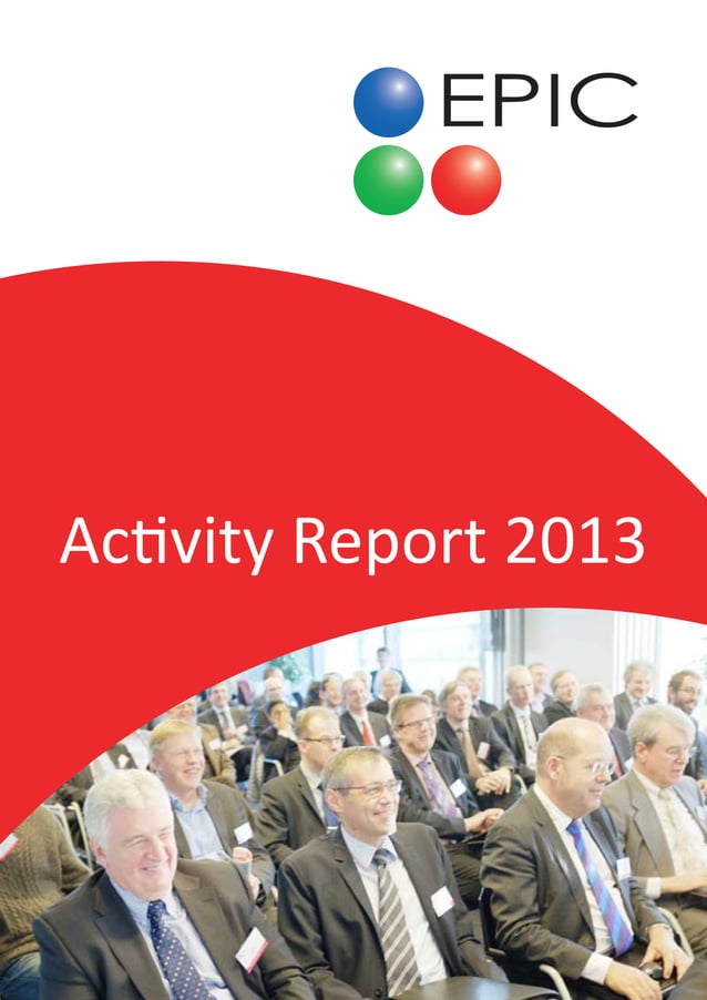 EPIC Activity Report 2013 | PDF