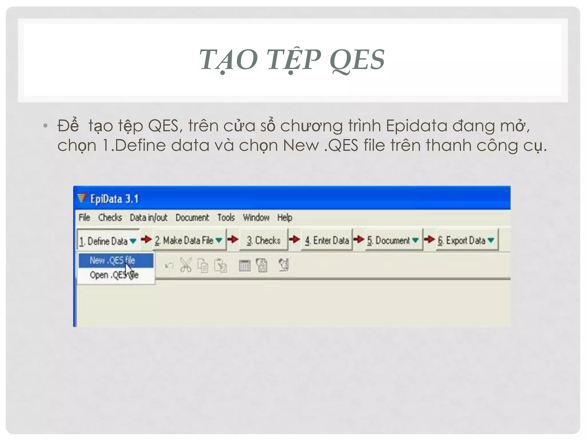 Hướng dẫn nhập số liệu với Epidata | PDF