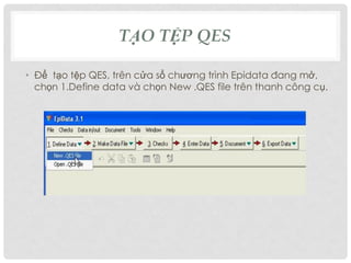 Hướng dẫn nhập số liệu với Epidata | PDF