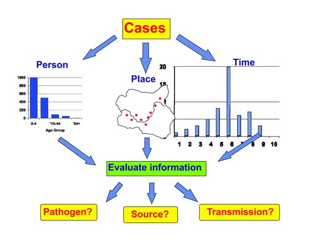 Epidemic Investigation | PPT