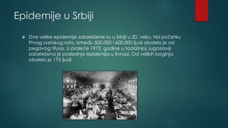 Epidemija tifusa | PPTX