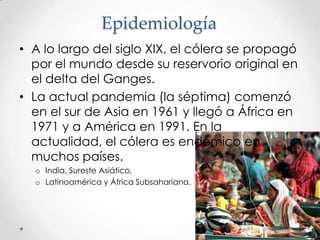 Epidemiología cólera | PPTX