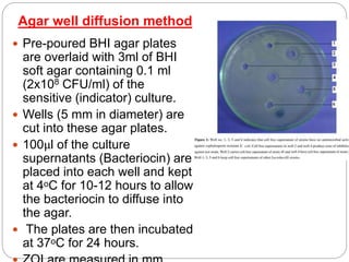 Epidemiological marker (serotyping and bacteriocin typing) | PPTX | Infectious Diseases ...