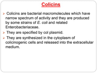 Epidemiological marker (serotyping and bacteriocin typing) | PPTX ...