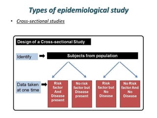 Epidemiological statistics I | PPTX