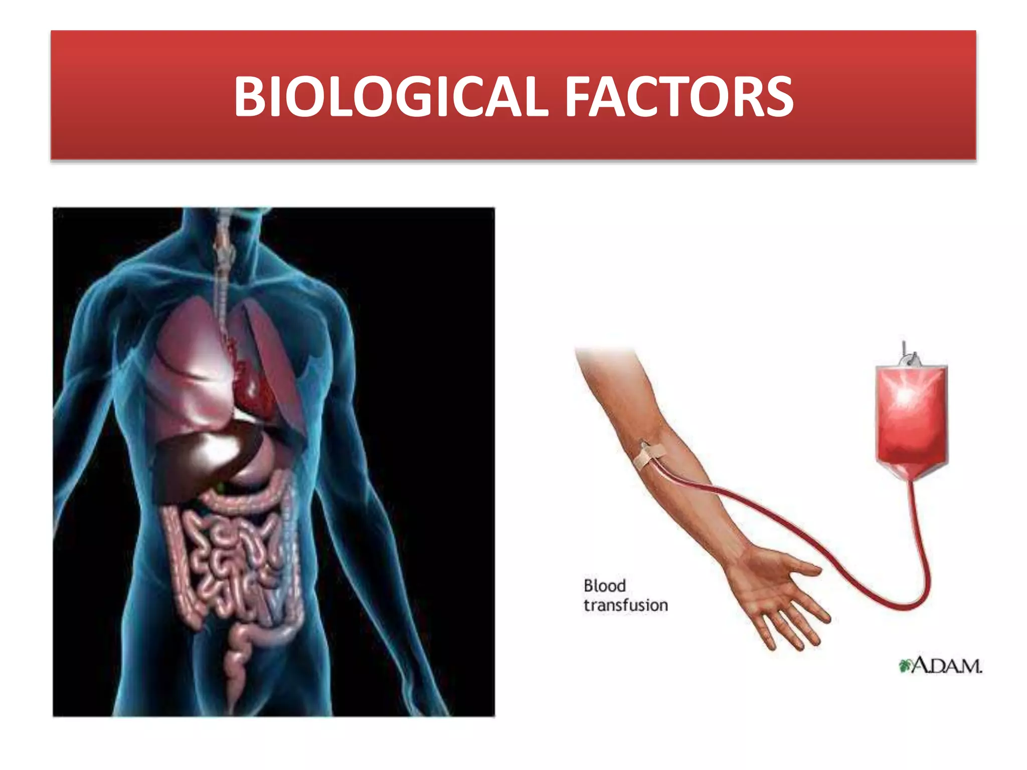 Epidemiological triad | PPTX