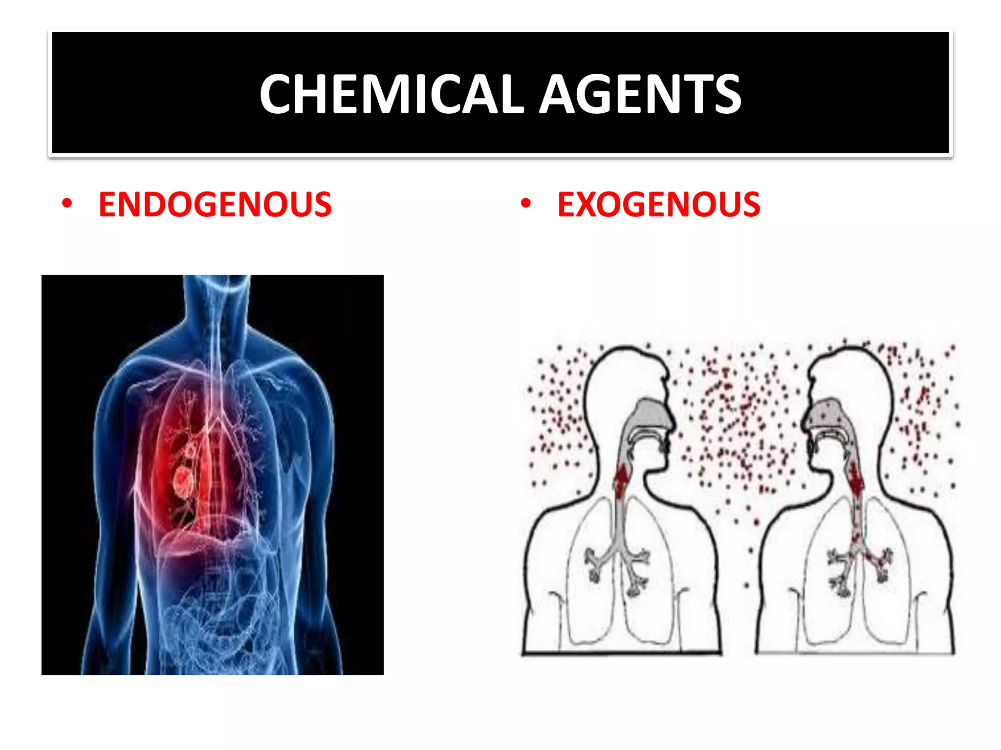 Epidemiological triad | PPTX