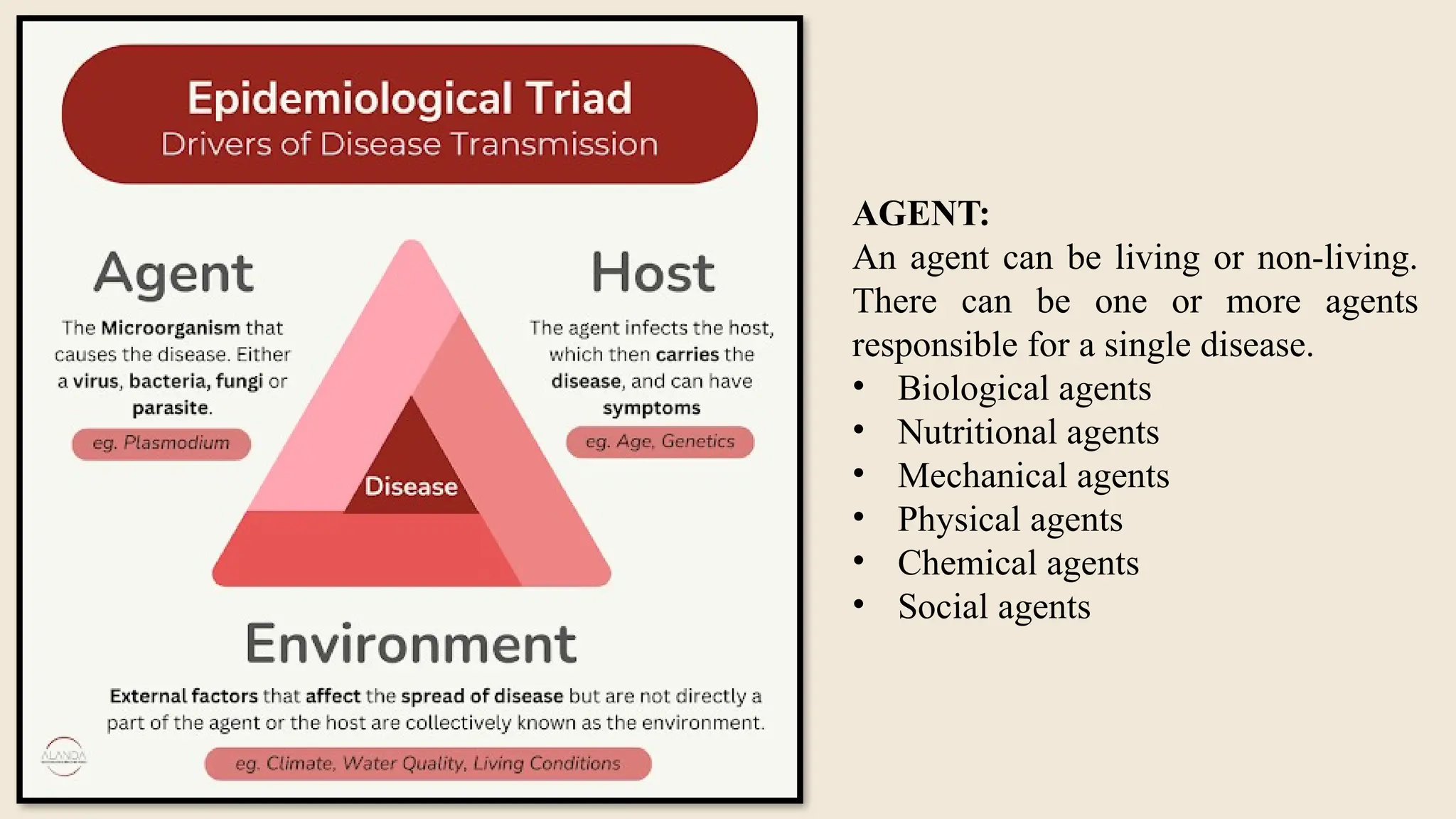 epidemiological triad of disease causation | PPTX