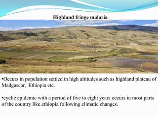 Epidemiological types of malaria | PPTX